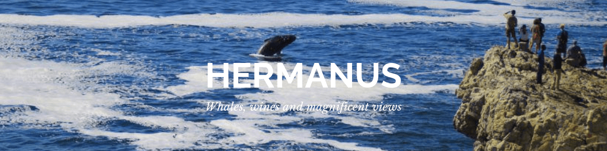 Privately Guided Hermanus & the Whales Tour - Safaria