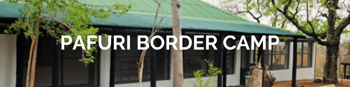 Kruger National Park | Pafuri Border Camp - Safaria