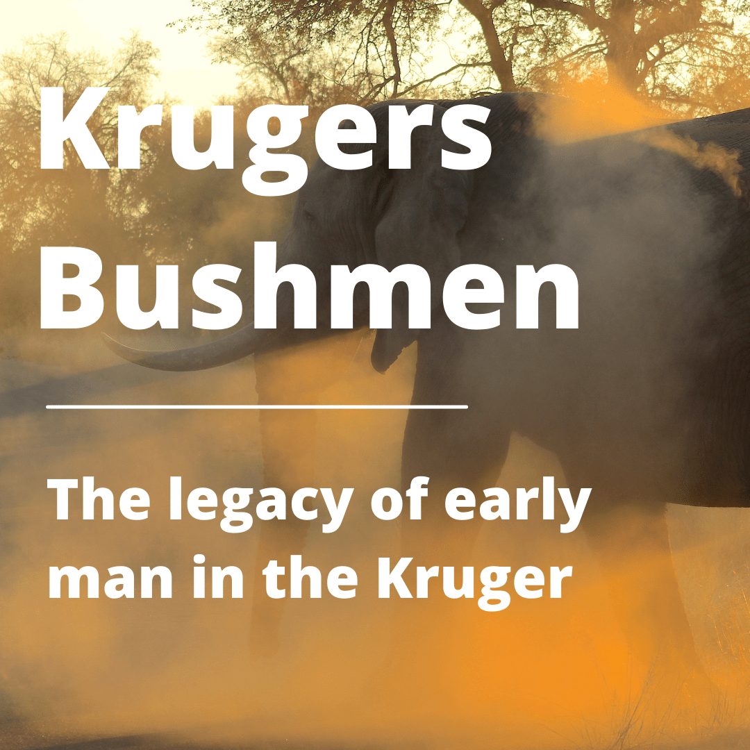 The Bushmen of Kruger National Park region