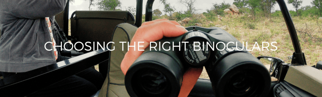 Best Binoculars for Safari - Safaria